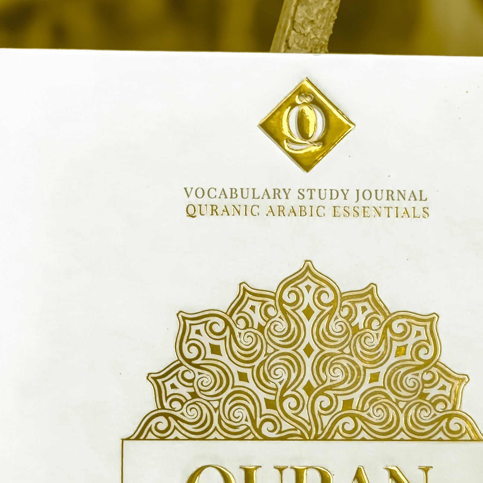 Quran Trace | International Best Seller & Award Winning Brand