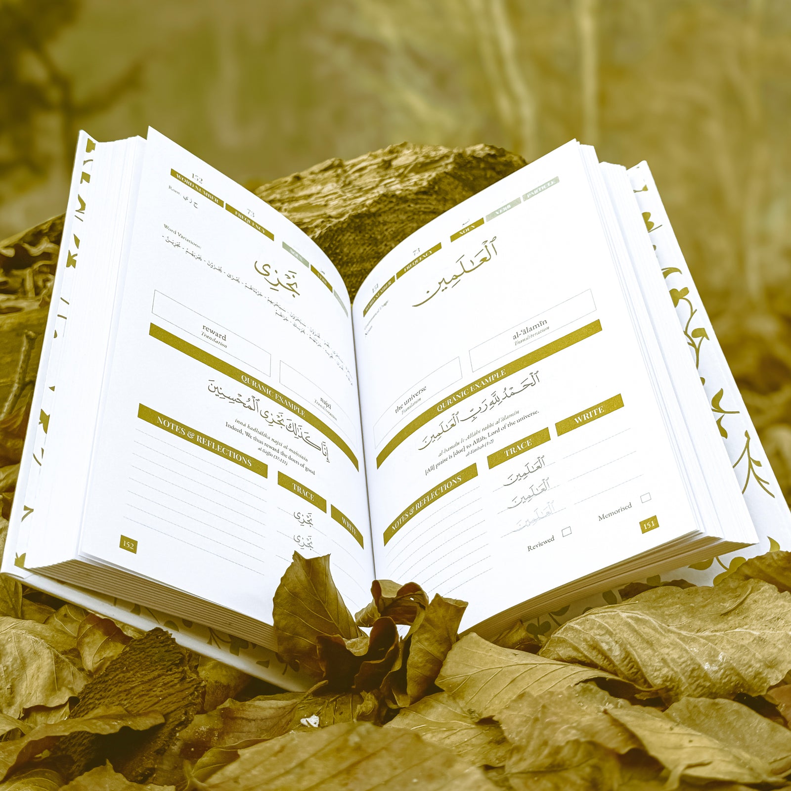 Quran Trace | International Best Seller & Award Winning Brand