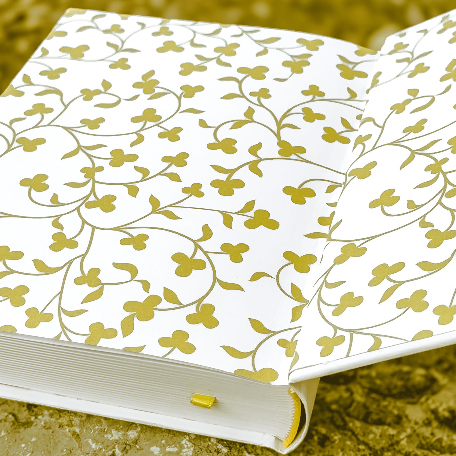 Quran Trace | International Best Seller & Award Winning Brand